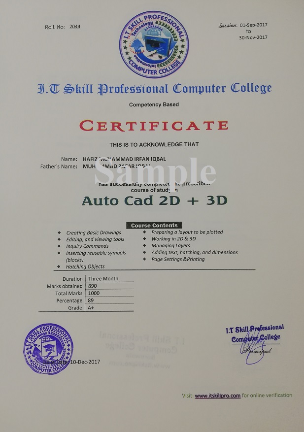 I.T Skill Professional Computer College Burewala (Pakistan) - IT Skill ...